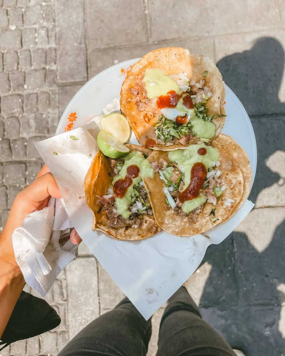 The Concise Guide to La Condesa, Mexico City