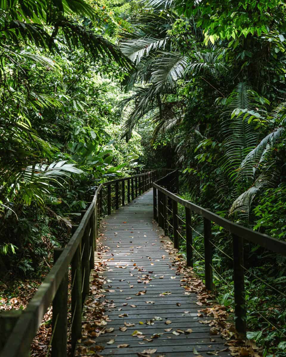 10 Best Beach Towns in Costa Rica: Which is Right For You?