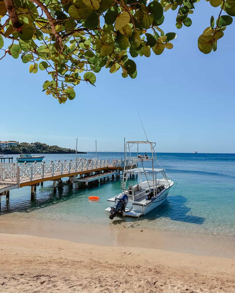 Roatan vs Utila: Which Honduran Island is Right for You?