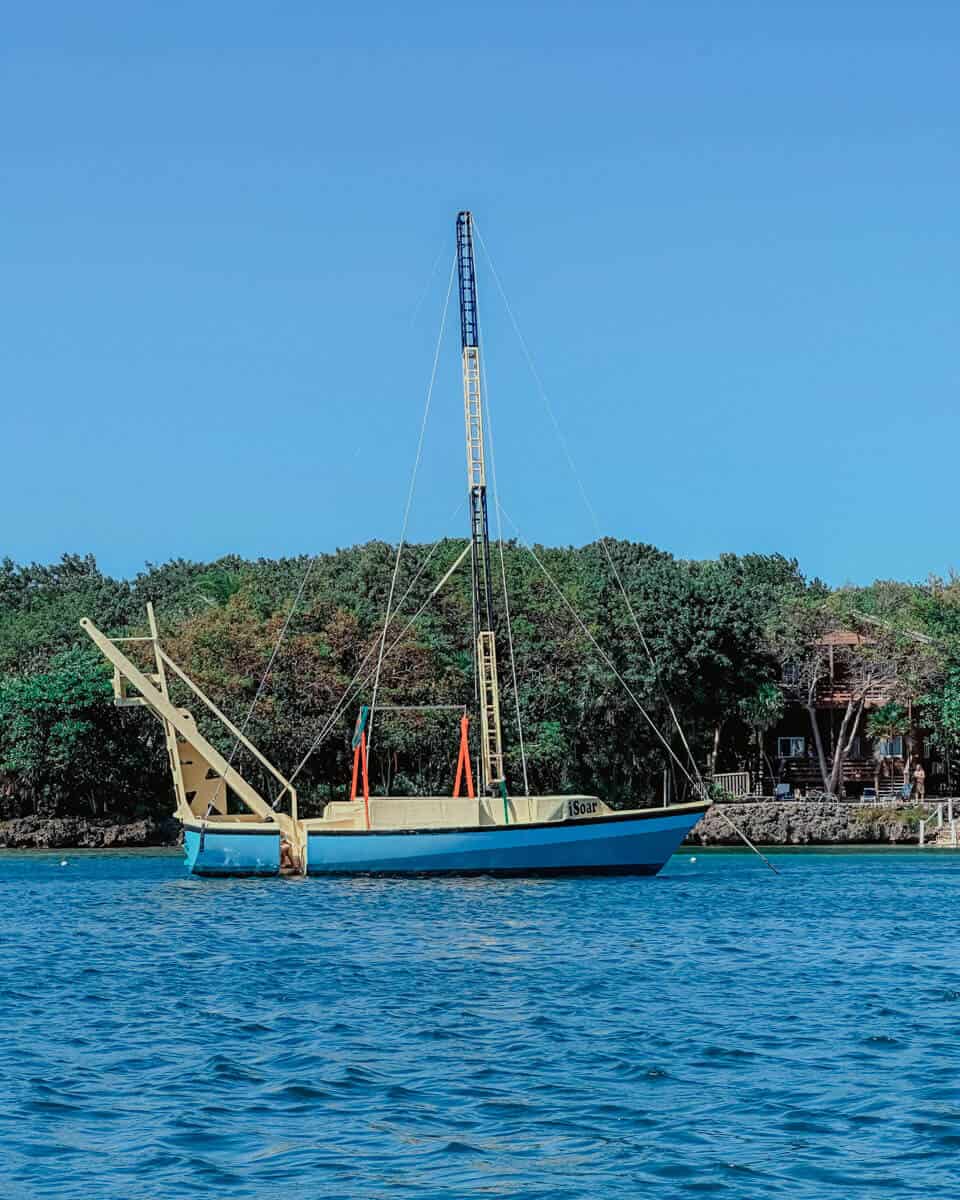 17 Things to Do in Roatan (+ Unethical Things NOT to Do)