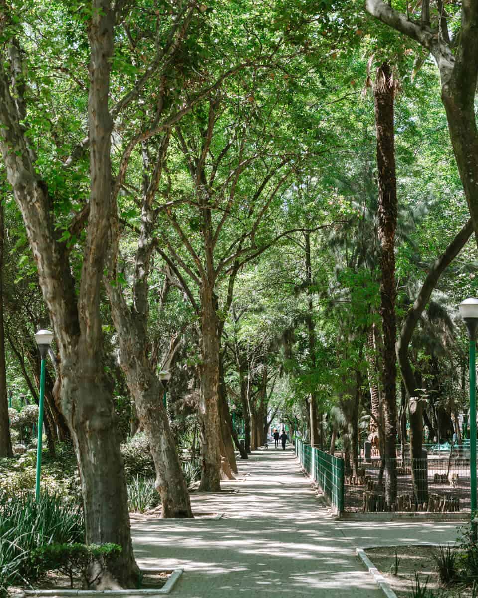 The Concise Guide to La Condesa, Mexico City (2024)