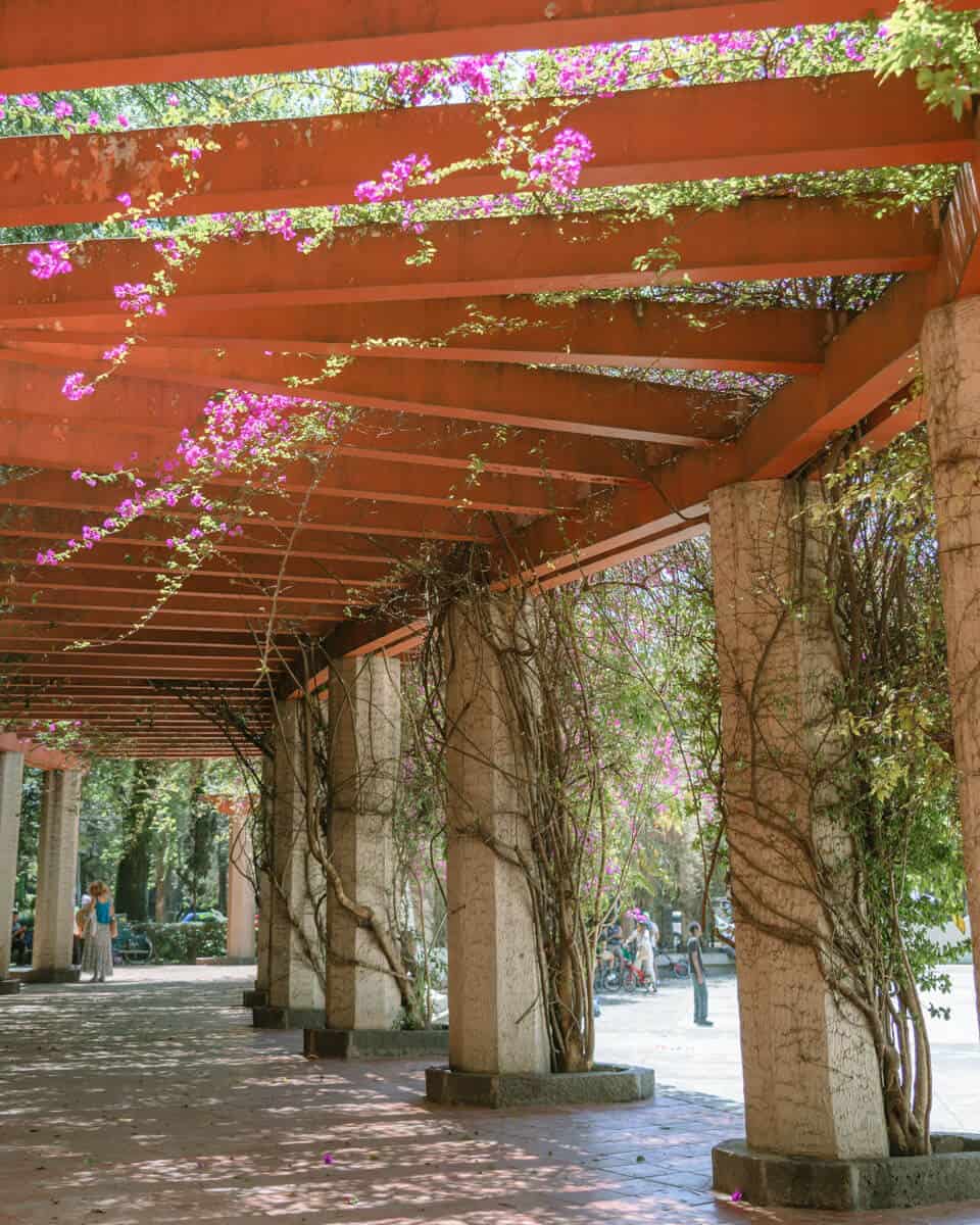 The Concise Guide to La Condesa, Mexico City