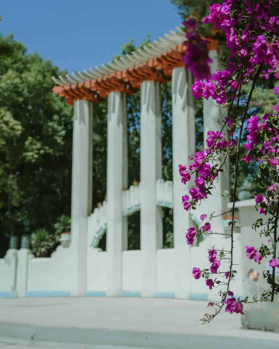 The Concise Guide to La Condesa, Mexico City