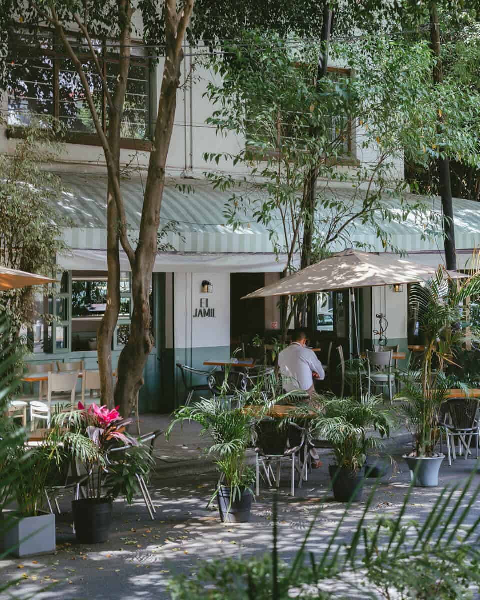 The Concise Guide to La Condesa, Mexico City (2024)